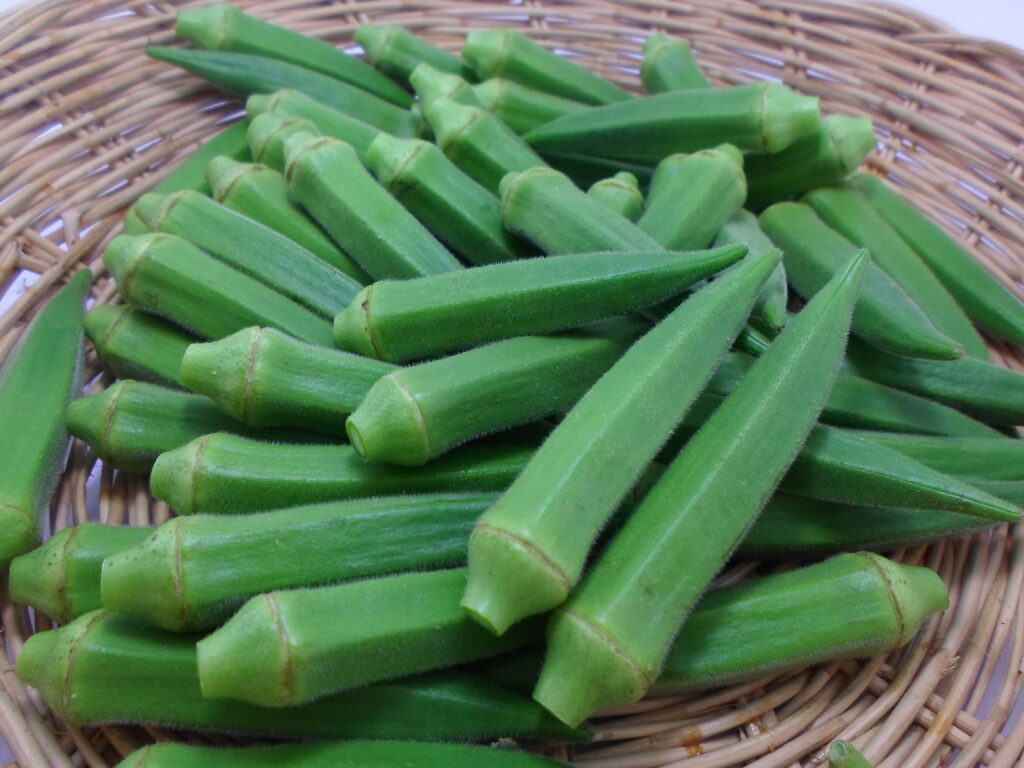 Hybird Okra "Top Green" - Thai seed & Agriculture
